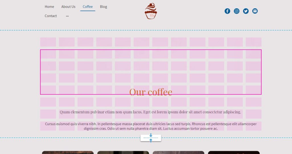 IONOS Review | Website Builder Features and Costs