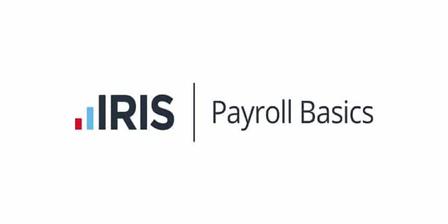 IRIS Payroll Basics Review 2025: What You Need To Know
